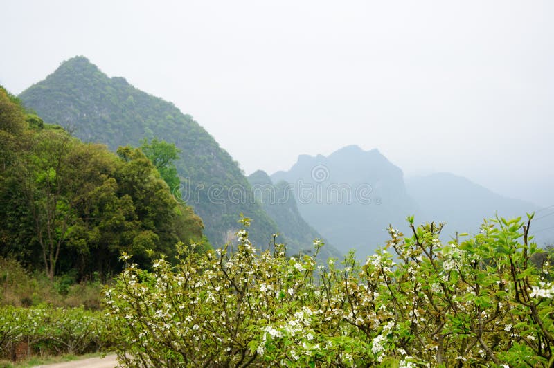 Beautiful Rural Scenery in Spring Stock Photo - Image of nature, flora ...