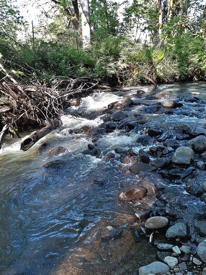 Rushing Stream stock image. Image of crash, flow, motion - 6199093