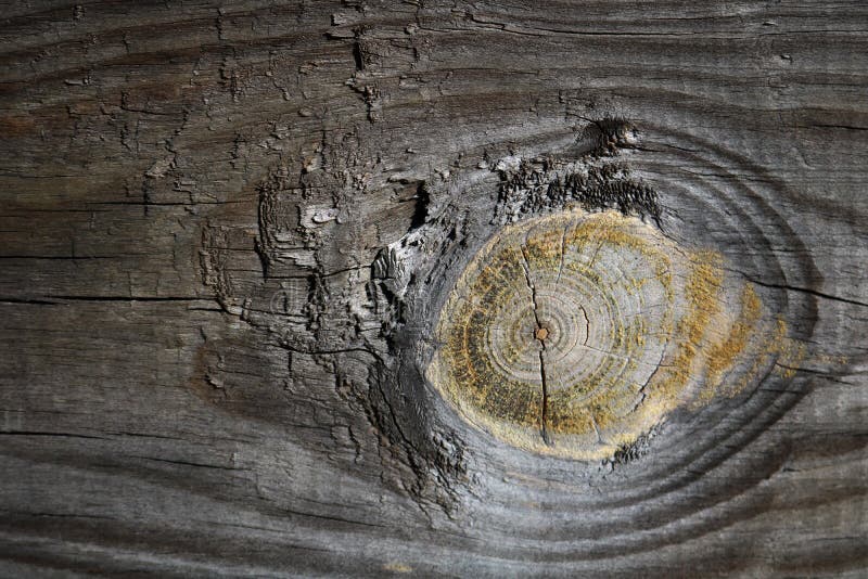 Rustic Dark Wood Background Stock Photo - Image of petal, scenics ...