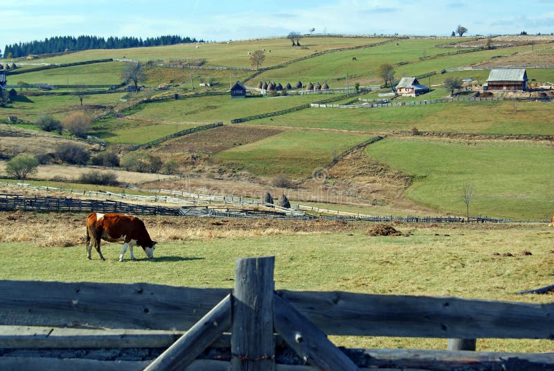 Beautiful rustic landscape stock photo. Image of grass - 16690052