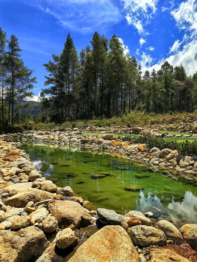 Beautiful Sabah Ausvilla Kundasang Stock Image - Image of ausvilla ...