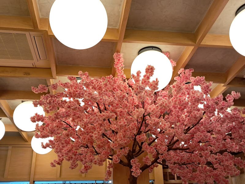 A Beautiful Sakura Tree Inside the Room with Nice and Comfy Lighting Stock Photo - Image of ...