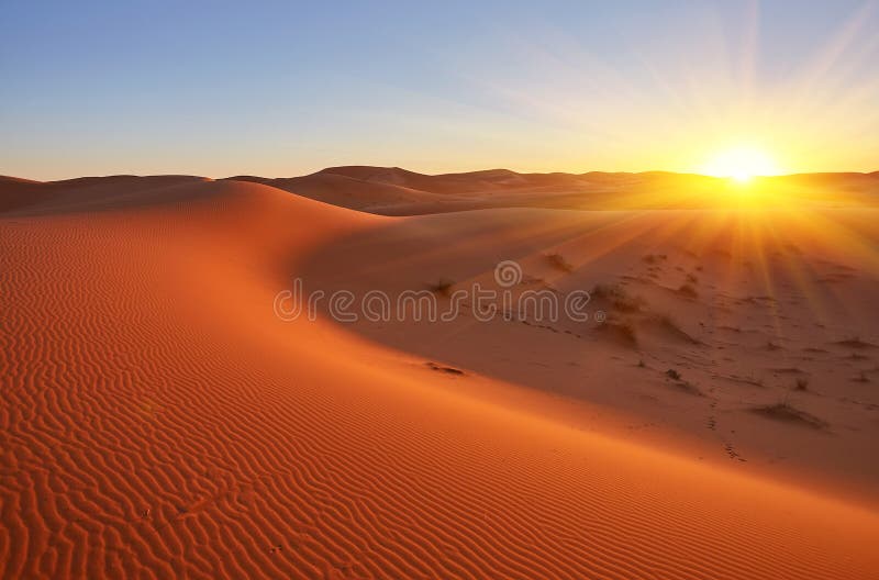 Beautiful Sand Dunes in the Desert Stock Image - Image of hill ...