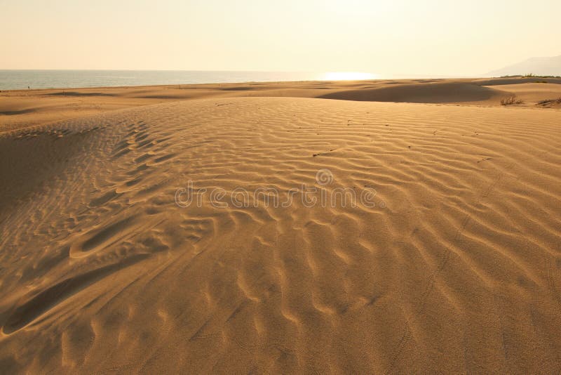 A Beautiful Sand Texture. a Wavy Desert Background Stock Image - Image ...