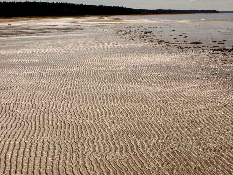 Sand Texture of Wind, Water and Sand Stock Image - Image of colorful ...