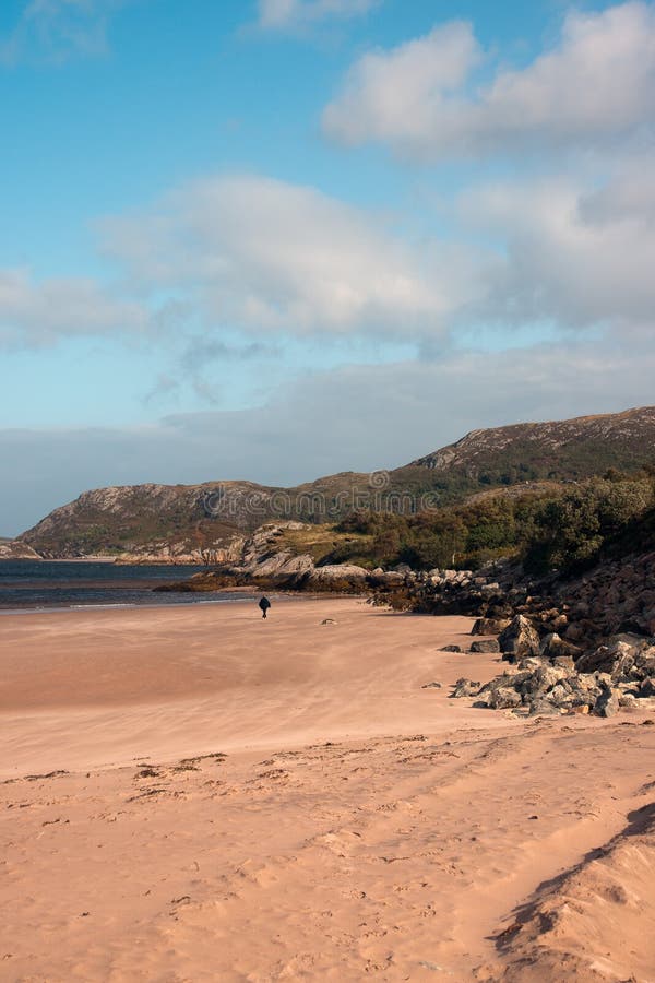 Beautiful sandy beach stock image. Image of environment - 83826809