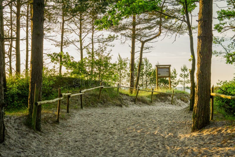 Beautiful Sandy Path Along a Seacoast in a Forest Stock Photo - Image ...