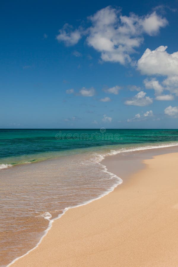 50,215 Beautiful Sandy Ocean Beach Seashore Stock Photos - Free ...
