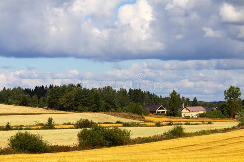 Beautiful Scandinavian Landscape Stock Photo - Image of harvested, land ...