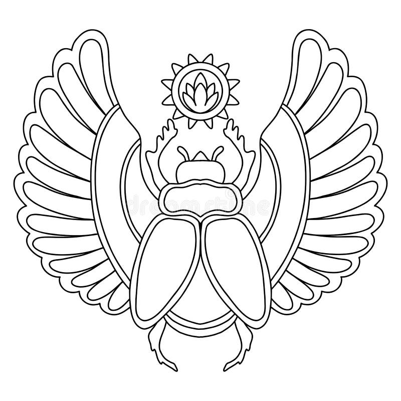 Beautiful Scarab Beetle Coloring Template Vector Illustration Stock ... Beautiful Scarab Beetle Coloring Template Vector Illustration Stock ...