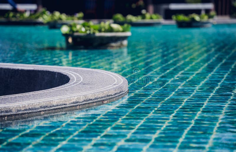 A Beautiful Scene with a Big Pool and Tropical Trees Stock Image ...