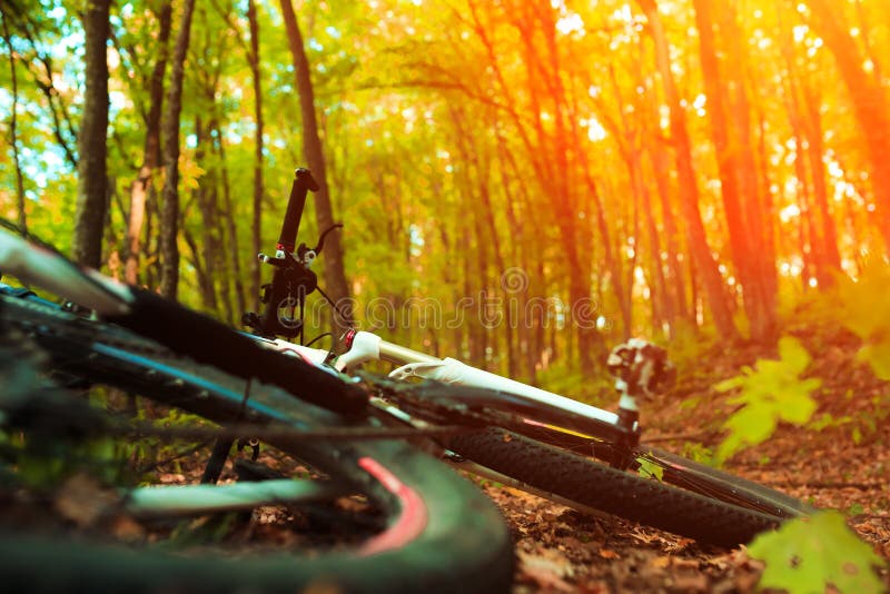 Beautiful Scene of Bike on Sunset Stock Photo - Image of evening ...