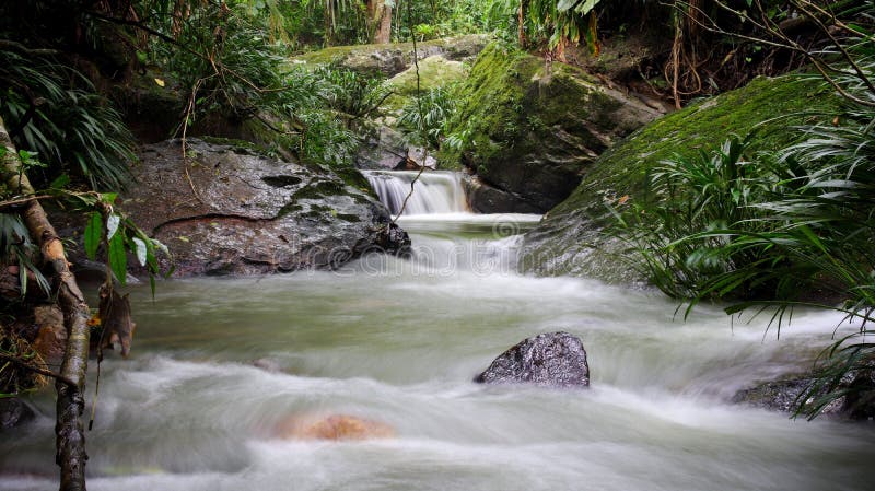 Beautiful Scene of the Forest Stream Flowing through the Rocks, Long ...