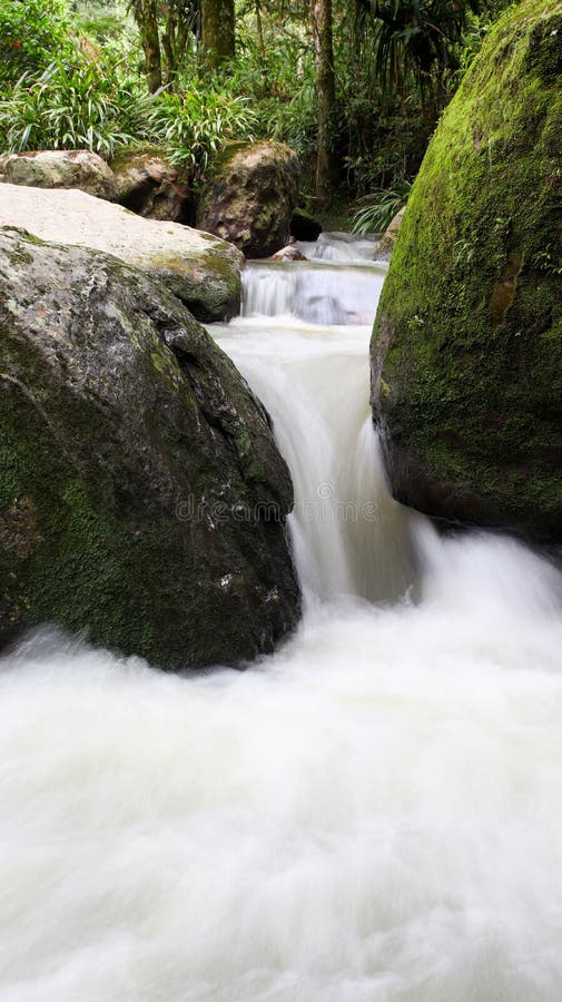 Beautiful Scene of the Forest Stream Flowing through the Rocks, Long ...