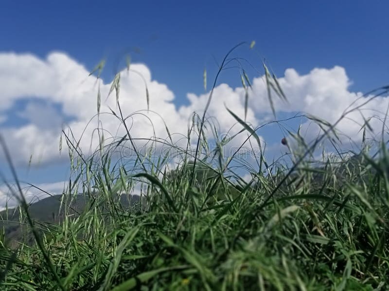 Beautiful Scene of Greenery and Clouds on Sky Stock Photo - Image of ...