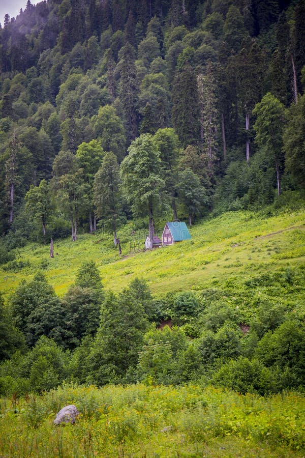 Beautiful Scene with Hut in the Mountain Summer Forest Stock Photo ...