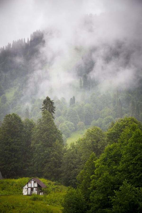 Beautiful Scene with Hut in the Mountain Summer Forest Stock Photo ...