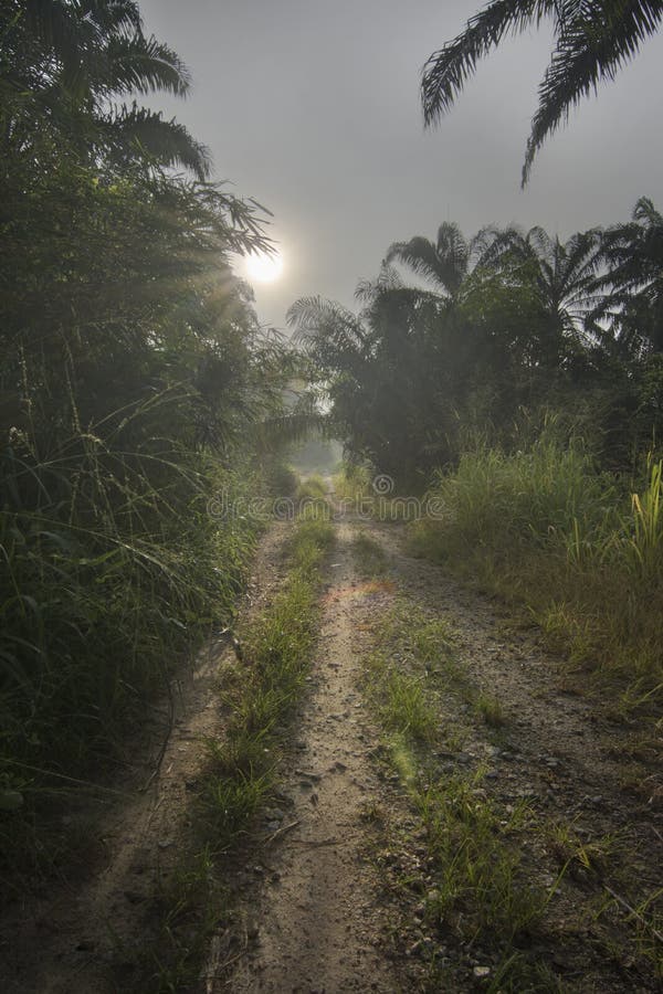 Quiet Sandy Route into the Isolated Farmland Stock Photo - Image of ...