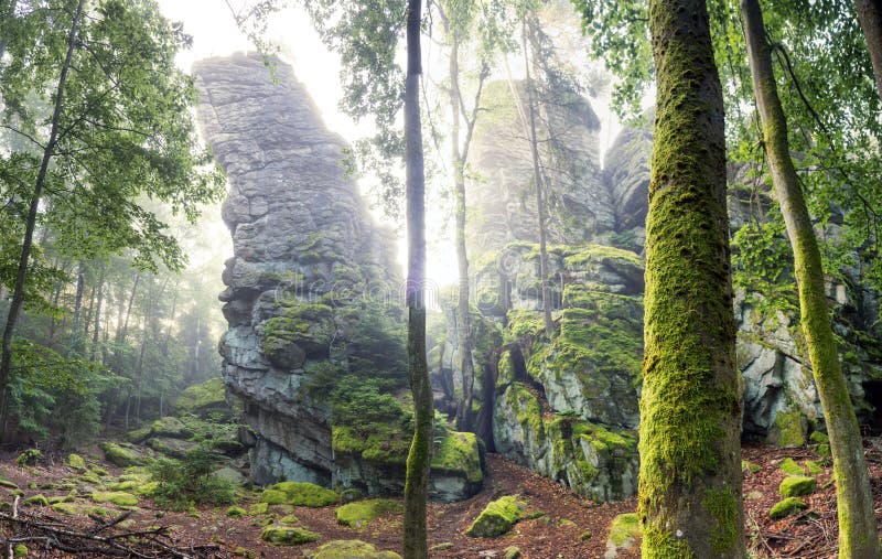 Beautiful Scene of the Rainforest with Rocky Cliffs Stock Image - Image ...