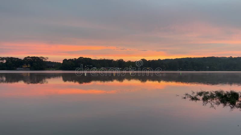 Beautiful Scene of a Tree by Reflecting Lake with Silhouette Trees and ...