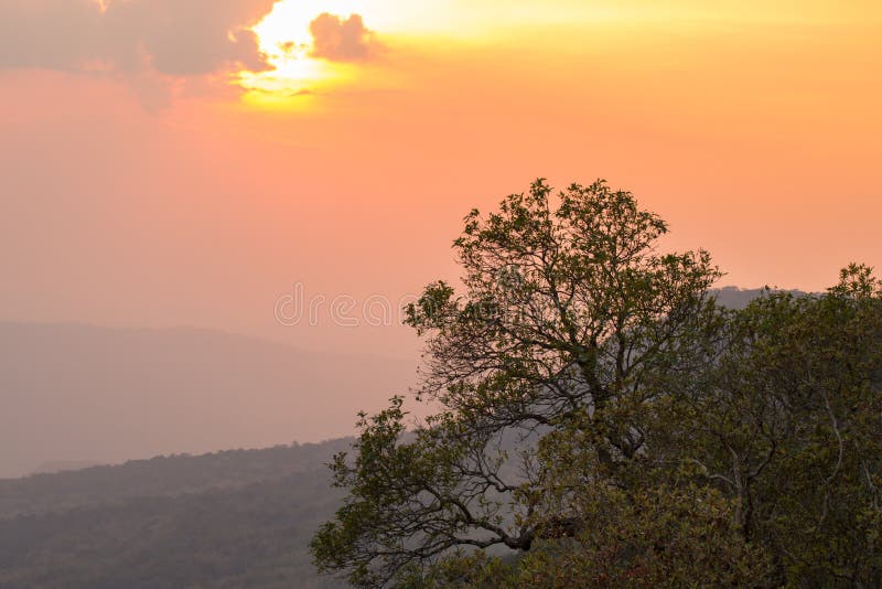 Beautiful Scene, Tree Top of the Mountain in Evening Time Stock Photo ...