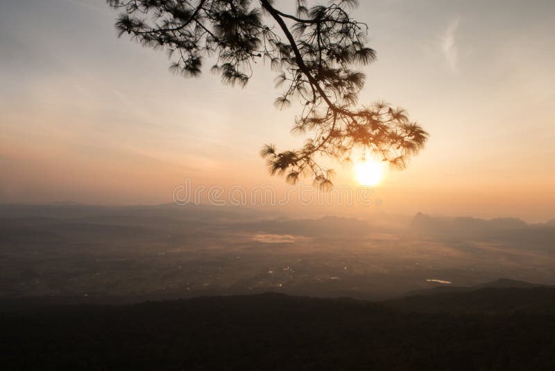Beautiful Scene, Tree Top of the Mountain in the Morning Stock Image ...