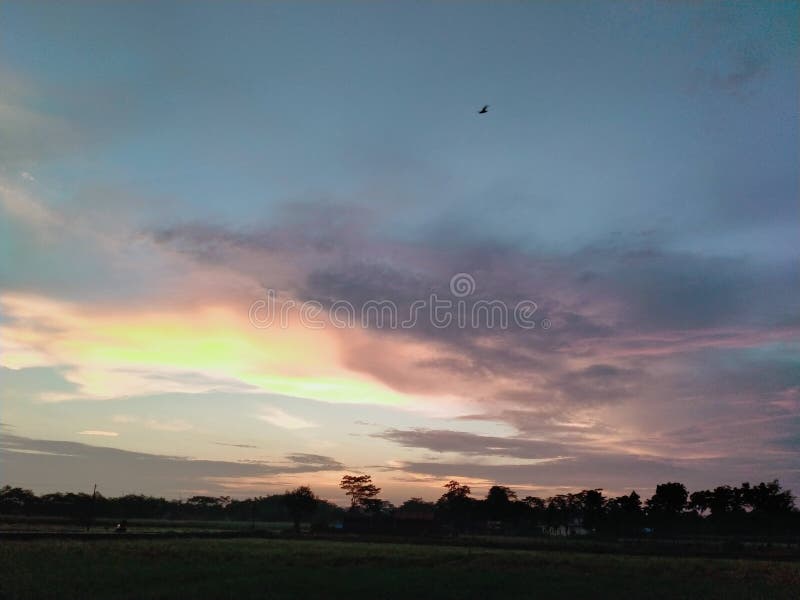 Beautiful Scenery Accompanied by Birds Flying Stock Image - Image of ...