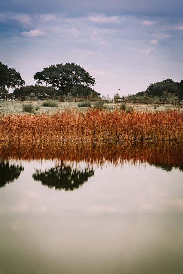 Beautiful Scenery of the Banks of a River Stock Photo - Image of park ...
