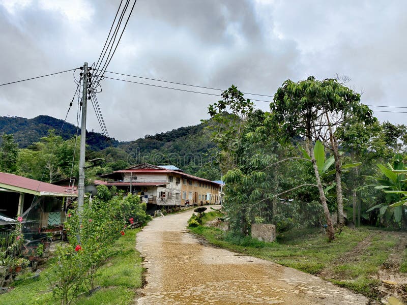 Beautiful Scenery in Bario Sarawak Malaysia. Stock Photo - Image of ...
