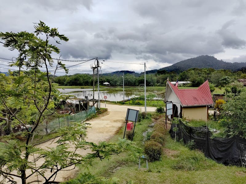 Beautiful Scenery in Bario Sarawak Malaysia. Stock Photo - Image of ...