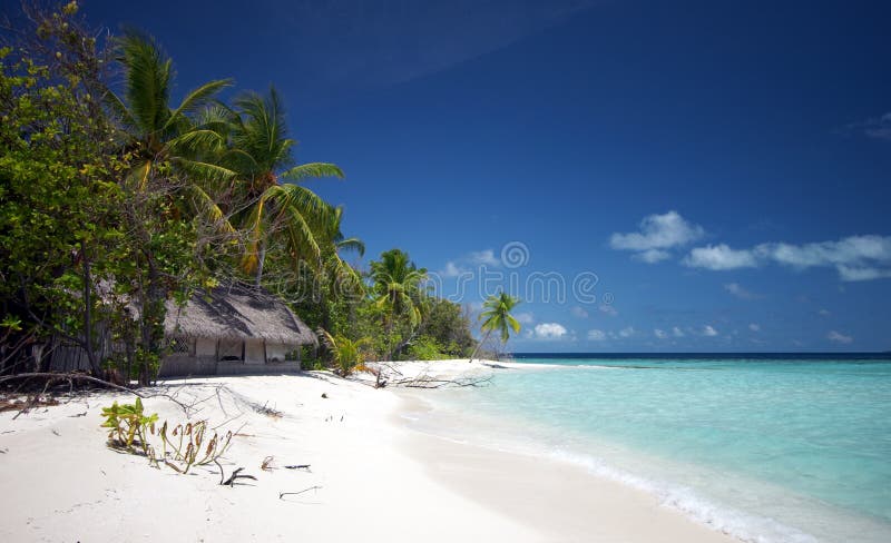 Equator Beach stock photo. Image of sunshine, tourism - 7930682