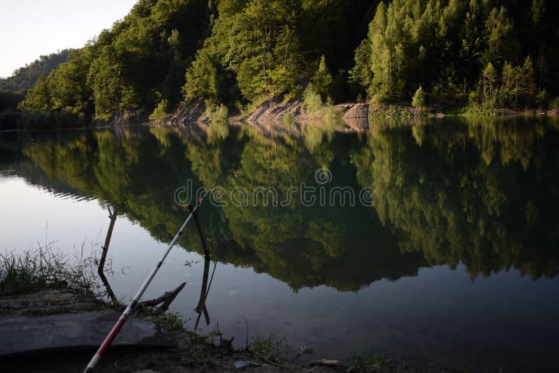 Beautiful Scenery of a Big Forest on the River Side with a Reflection ...
