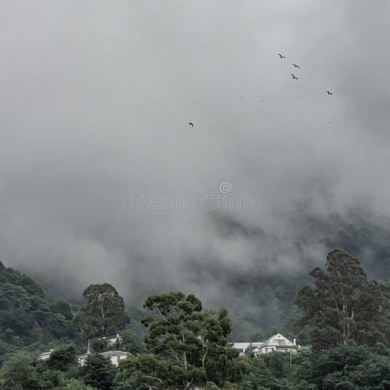 Beautiful Scenery of Birds Flying in Storm Clouds Over a House in a ...