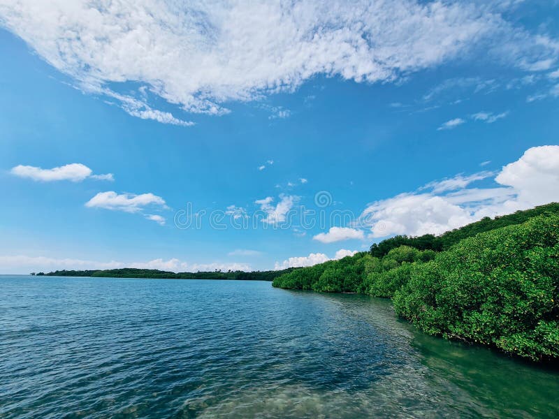 Beautiful Scenery with Sea and Blue Sky Stock Photo - Image of forest ...