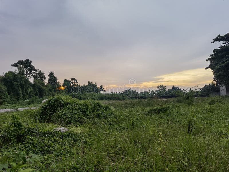 Beautiful Scenery in Bogor City Stock Photo - Image of bogor, city ...