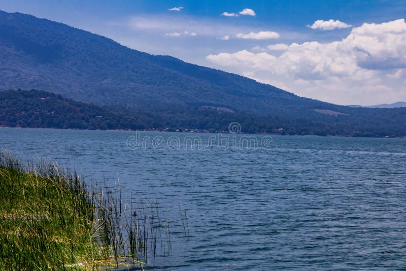Beautiful Scenery of a Calm Lake and Land Fully Covered with Trees ...