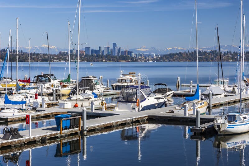 Beautiful Scenery of Cherry Blossoms Blooming on Lake Washington in ...