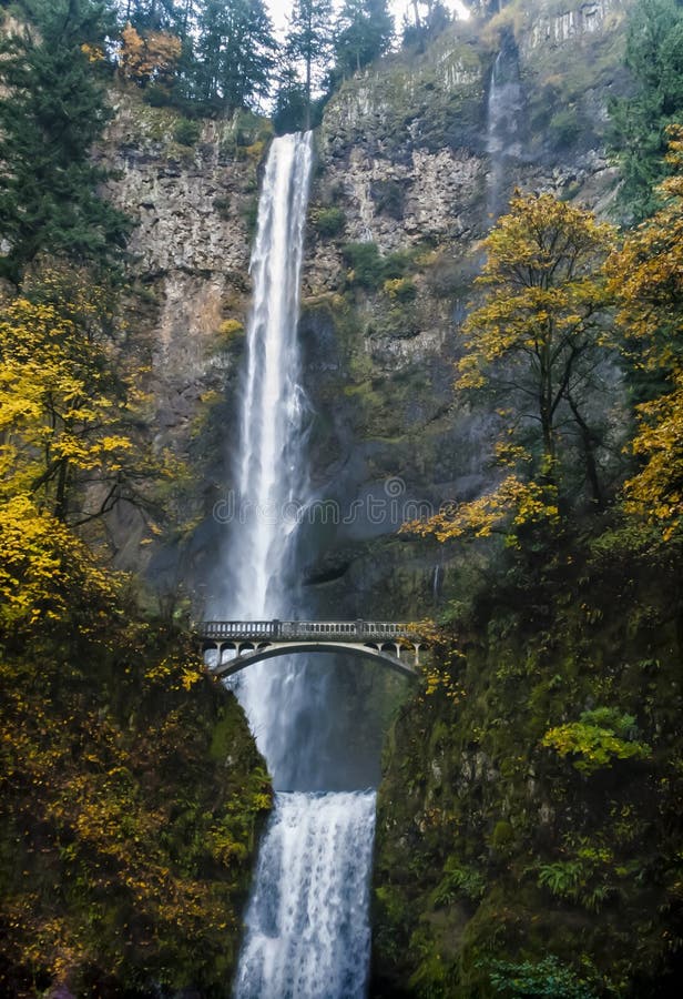 Beautiful Scenery of a Concrete Bridge in the Forest with a Waterfall ...
