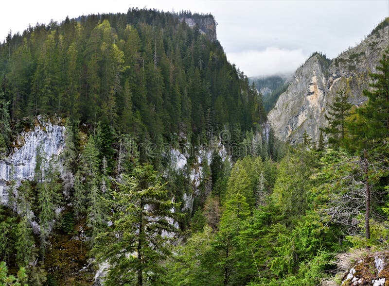 Beautiful Scenery of the Famous Hasmas Mountains in Romania Stock Photo ...