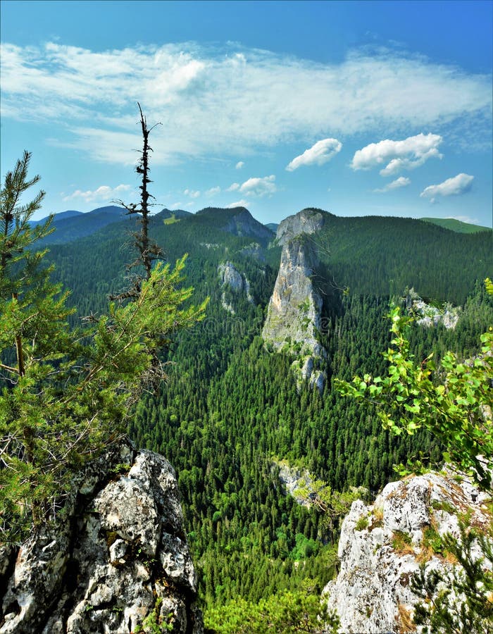Beautiful Scenery of the Famous Hasmas Mountains in Romania Stock Image ...