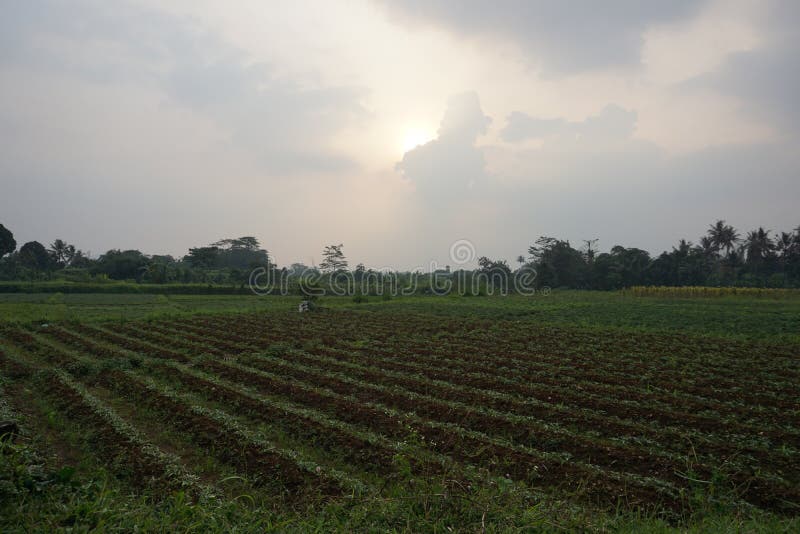 Beautiful Scenery of Farm Fields and Sunset Sky Stock Photo - Image of ...