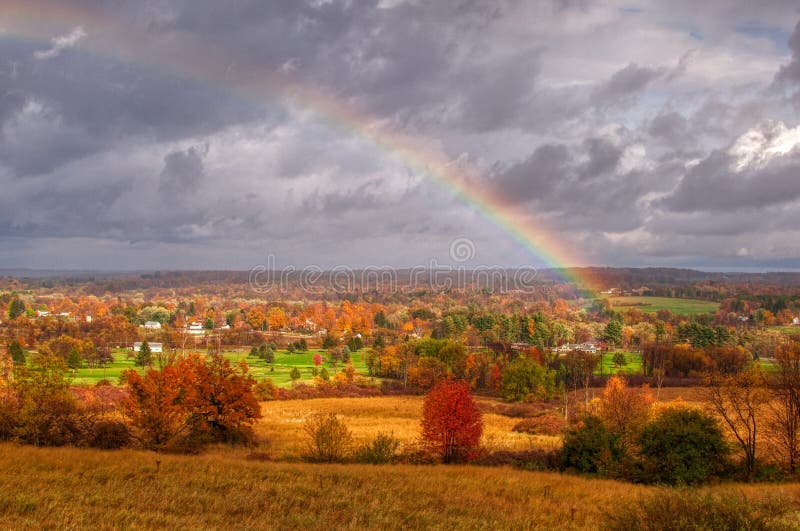 Beautiful Scenery of a Forest with a Breathtaking Rainbow Visible in ...