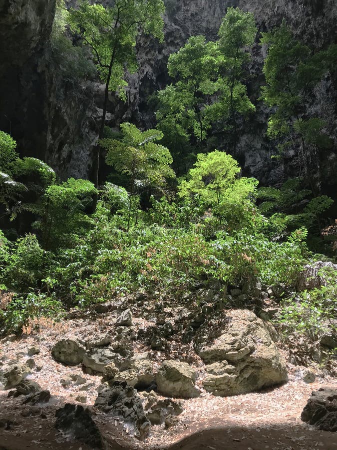 Forest Cave stock image. Image of beauty, hiking, opening - 6481587