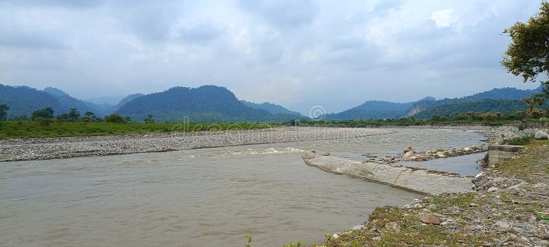 The Beautiful Scenery of Grassland of Assam State. Stock Image - Image ...