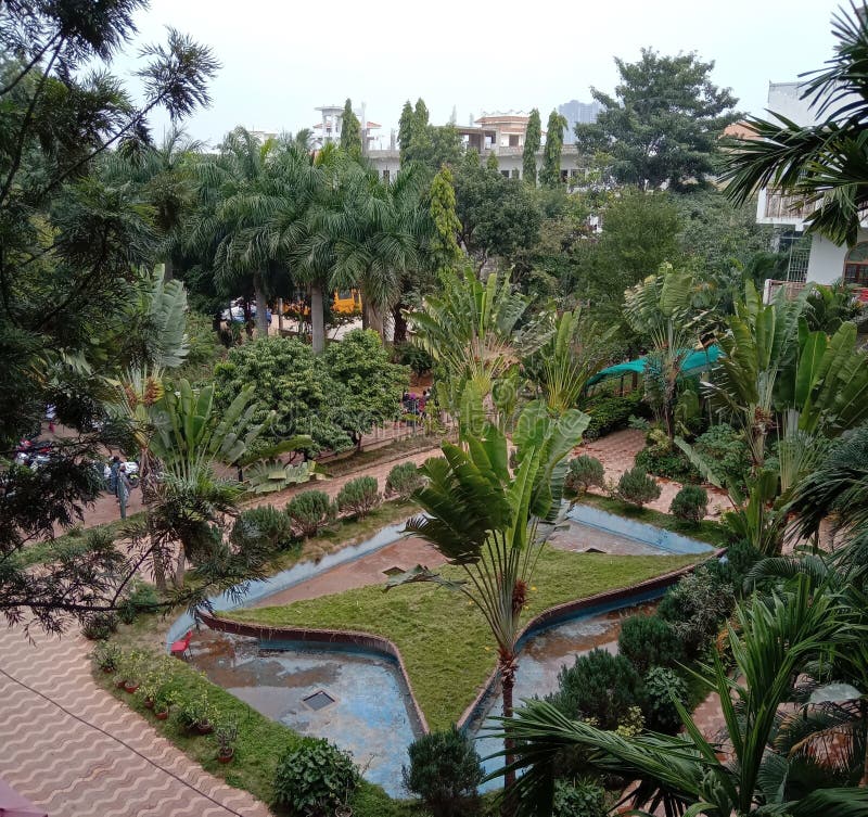 Beautiful scenery stock image. Image of trees, photographylover - 167126239