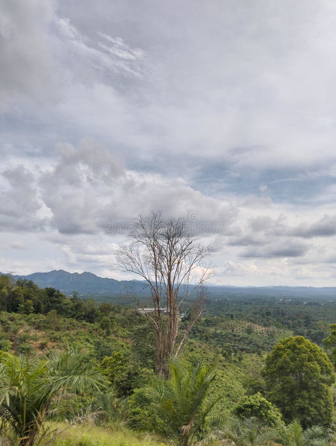 Beautiful Scenery from the High Hill Stock Image - Image of high, bukit ...