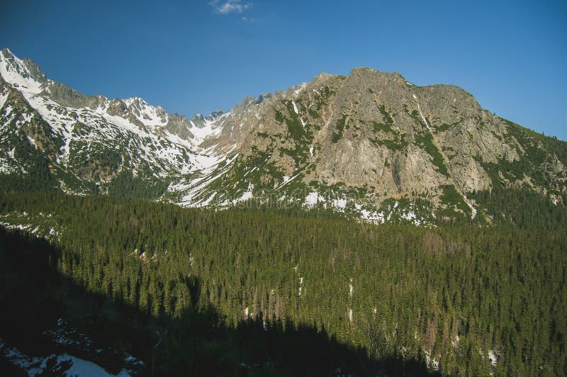 Beautiful Scenery of the High Mountains. Stock Image - Image of forest ...