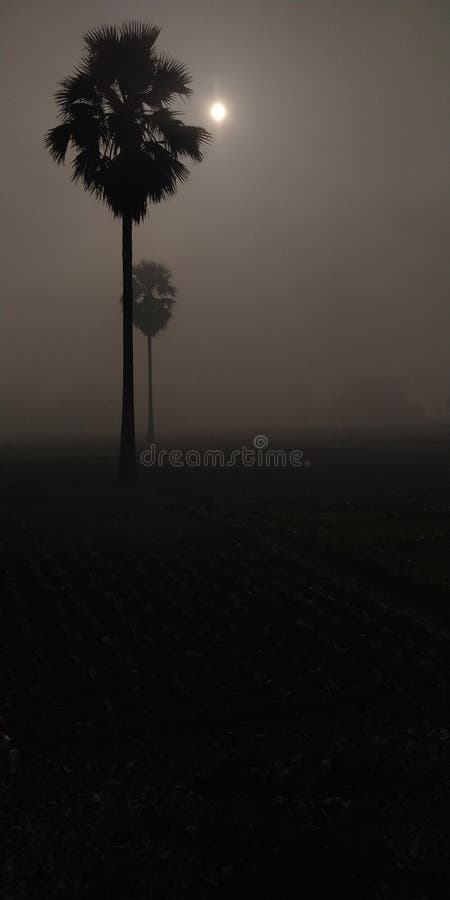 Beautiful Scenery Image of a Foggy Morning Stock Image - Image of ...