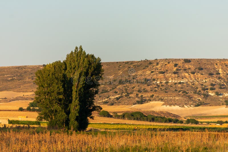 Beautiful Scenery of a Landscape with Hills and Trees on a Sunny Day ...