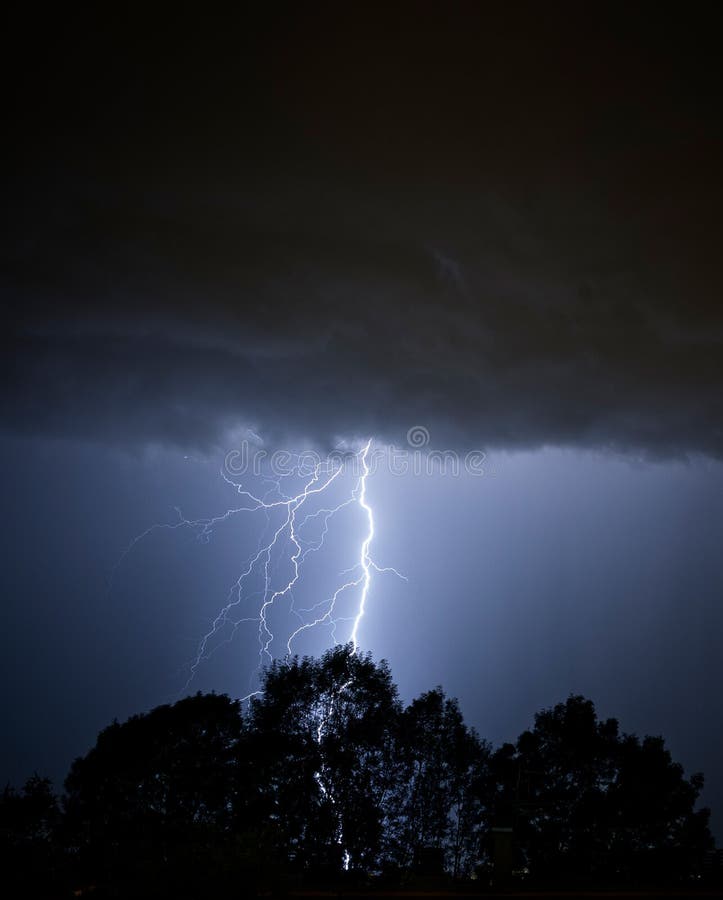 Beautiful Scenery of the Lightning Striking the Trees Under the Storm ...